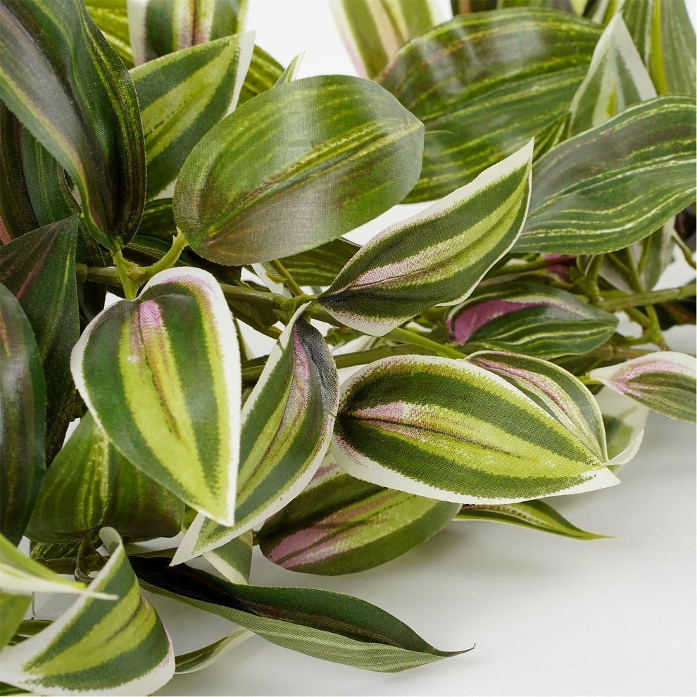 Mica Tradescantia Hanging Green – Lovell Sports