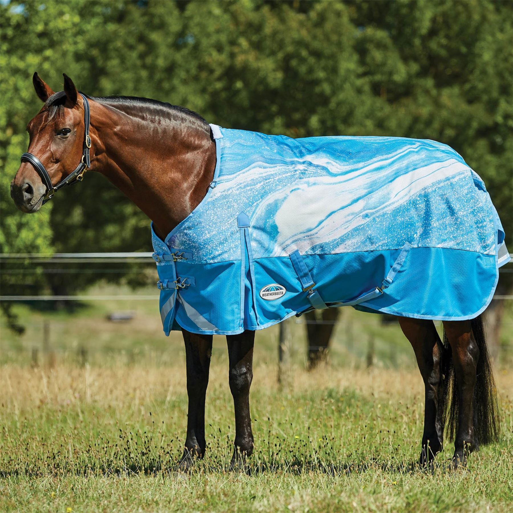 Weatherbeeta Plus Dynamic Ii Standard Neck Medium Turnout Horse Rug ...
